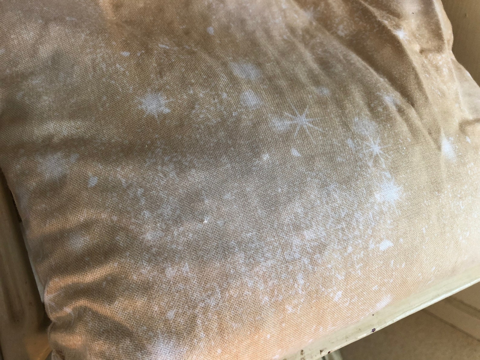 Snow Burst Cherry Pit Pack - Etsy