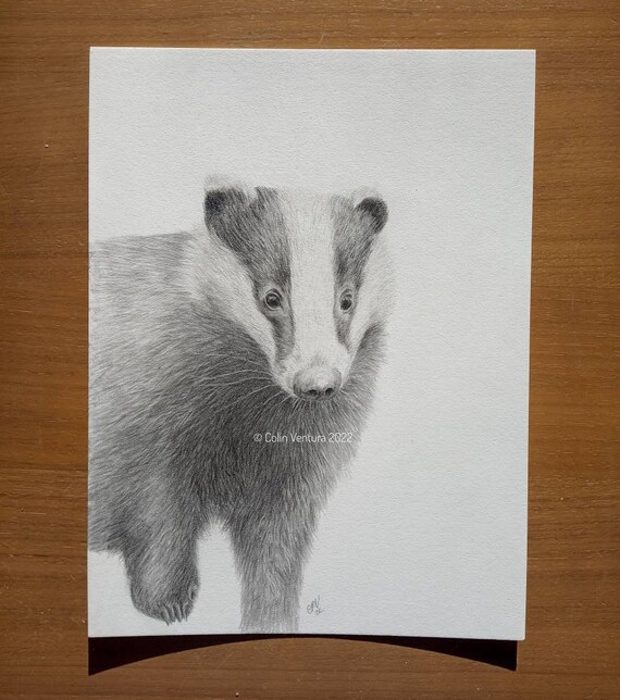 Obra de arte original Dibujo de un tejón sin enmarcar. | Etsy México