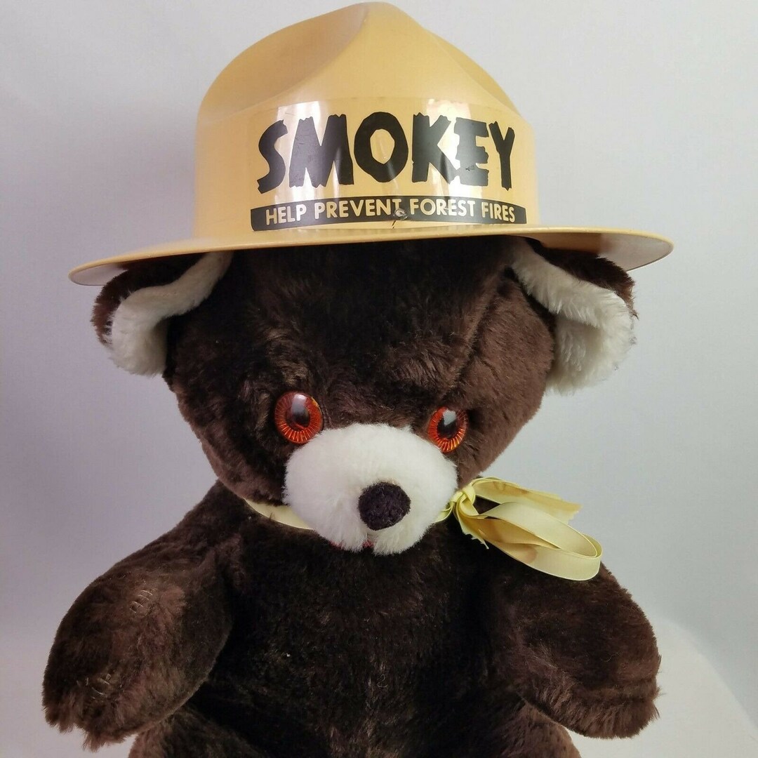Vintage 14 Inch Dollcraft Teddy Bear and Smokey Hat Jr Ranger Spangled ...