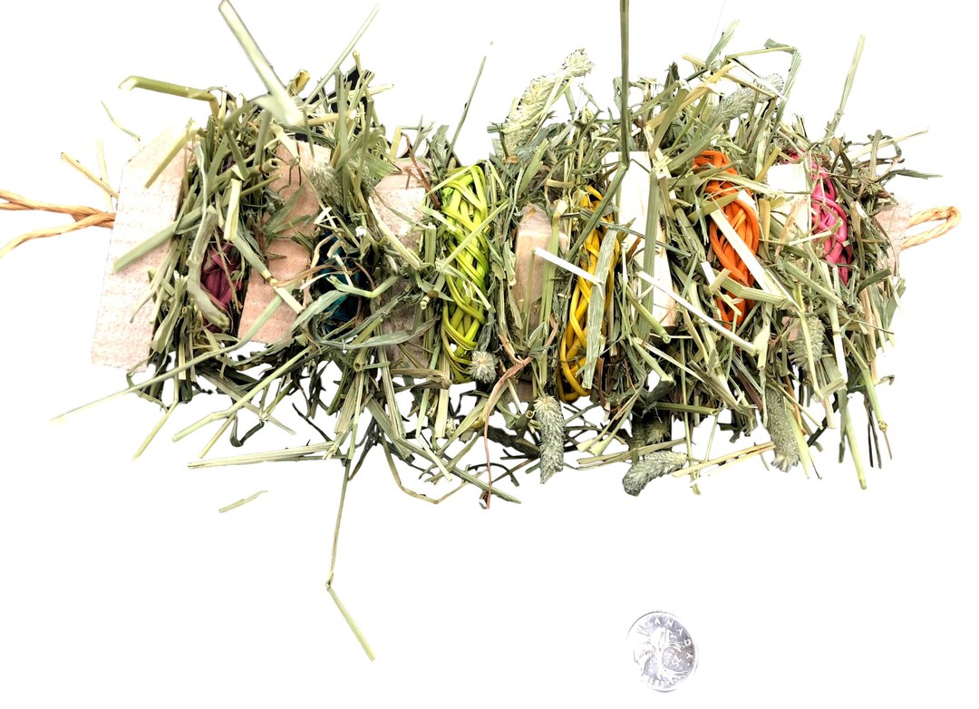 Weirdo's Wonderful - Bunny and Small Animal Toy - Local, Natural ...