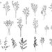 Botanical Winterberry SVG, Botanical Winterberry Bundle SVG, Botanical ...