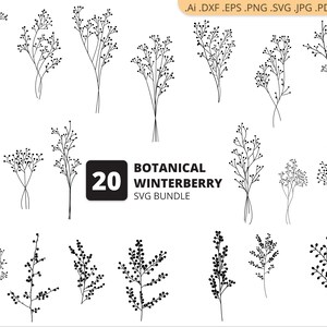 Botanical Winterberry SVG, Botanical Winterberry Bundle SVG, Botanical ...