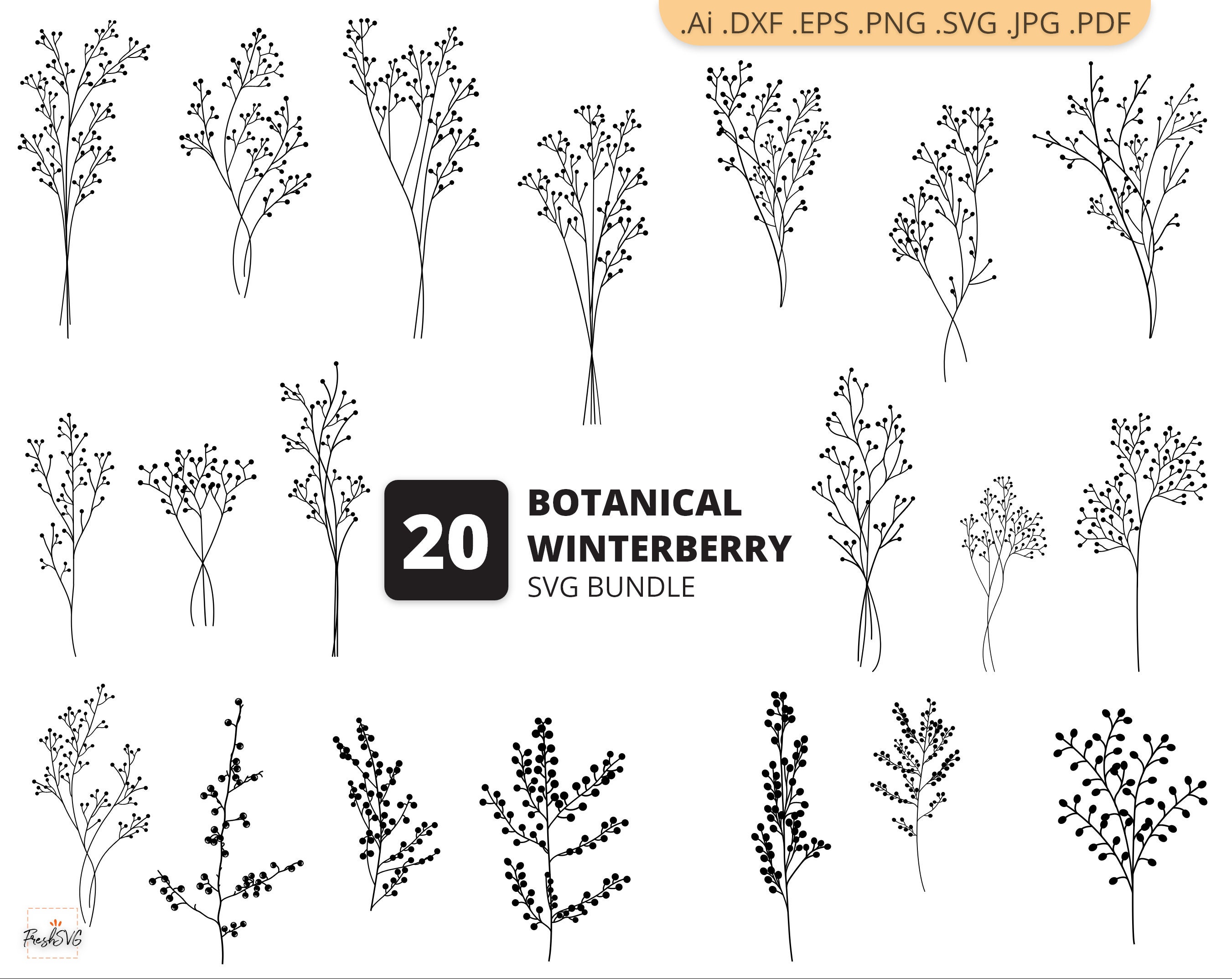 Botanical Winterberry SVG, Botanical Winterberry Bundle SVG, Botanical ...