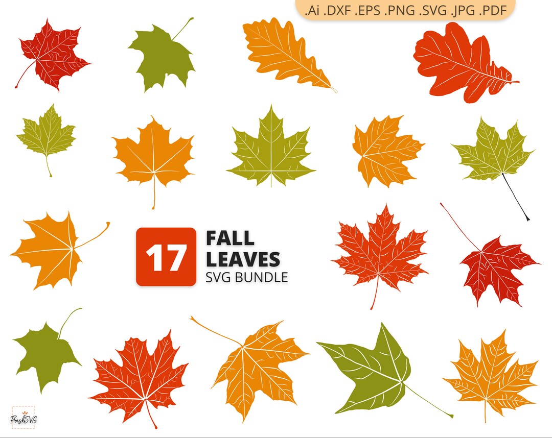 Fall Leaves Svg, Autumn Leaves SVG, Autumn Leaves Bundle SVG, Fall ...
