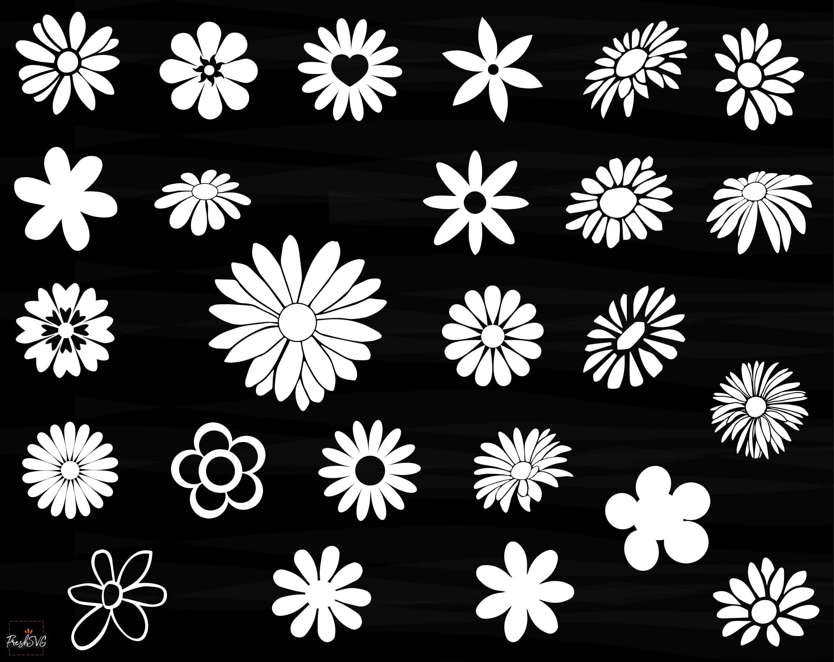 Daisy SVG Daisy Bundle SVG Daisy Silhouette Daisy Clipart | Etsy