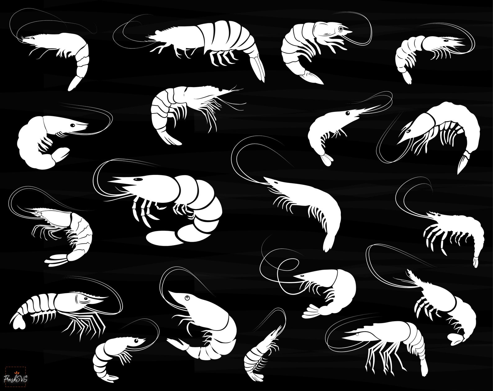 Shrimp SVG Shrimp SVG Bundle Fish Svg Bundle Shrimp Circle | Etsy