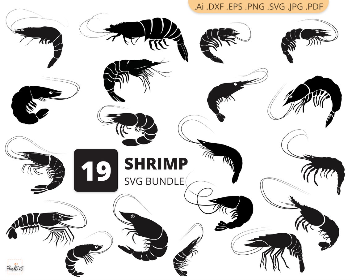 Shrimp SVG Shrimp SVG Bundle Fish Svg Bundle Shrimp Circle | Etsy