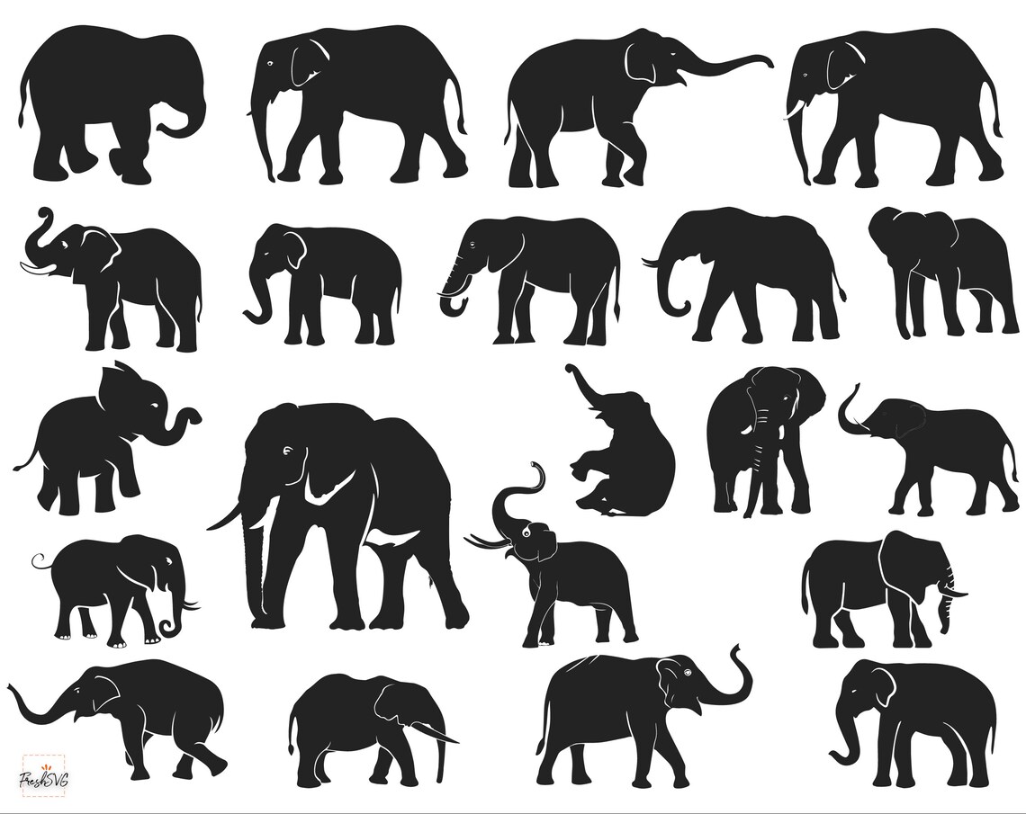 Elephant SVG Elephant Bundle SVG Elephant Silhouette | Etsy