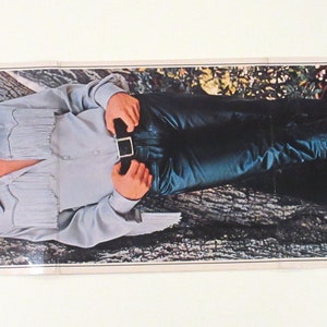 Bobby Sherman Vinyl Trifold Covers Greatest Hits Album or Here Comes ...