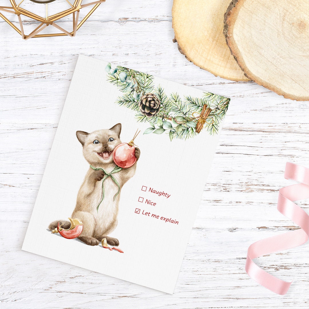 Funny Cat Christmas Card Christmas Cards Boxed Set for Cat - Etsy