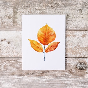 Autumn Leaves Cards, Watercolor Fall Leaves, Fall Note Cards, Autumn ...