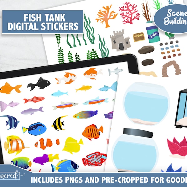 Fish Tank - Etsy