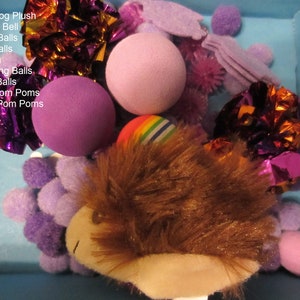 Hedgehog Dig Box and Filler Variety of Colors Forage Box, Ping Pong ...