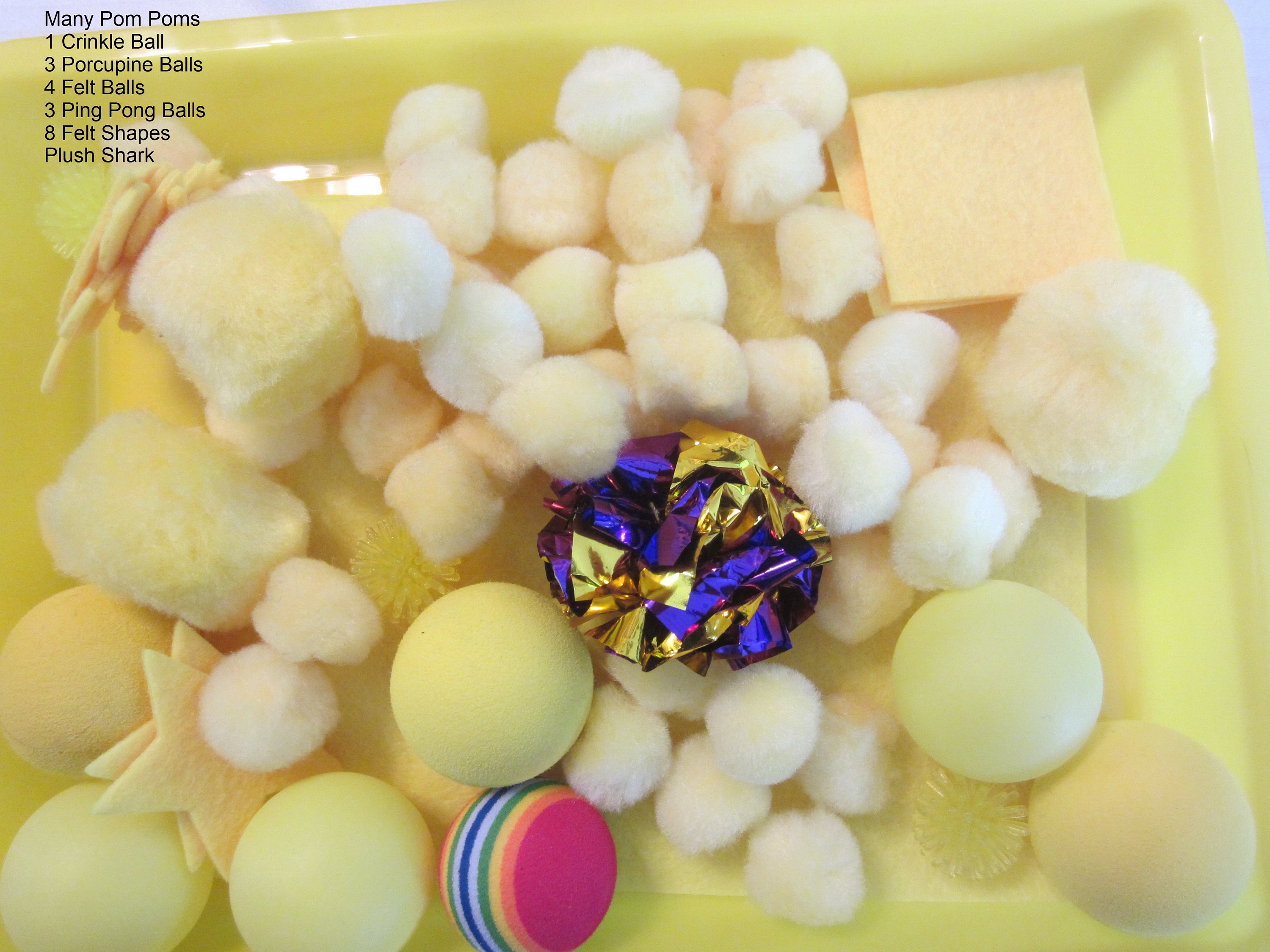 Hedgehog Dig Box and Filler Variety of Colors Forage Box, Ping Pong ...