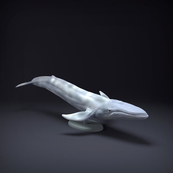 Miniature Whale - Etsy