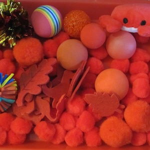 Hedgehog Dig Box and Filler - Variety of Colors - Forage Box, Ping Pong ...