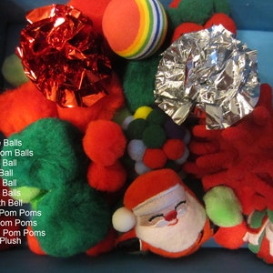 Hedgehog Dig Box and Filler Variety of Colors Forage Box, Ping Pong ...