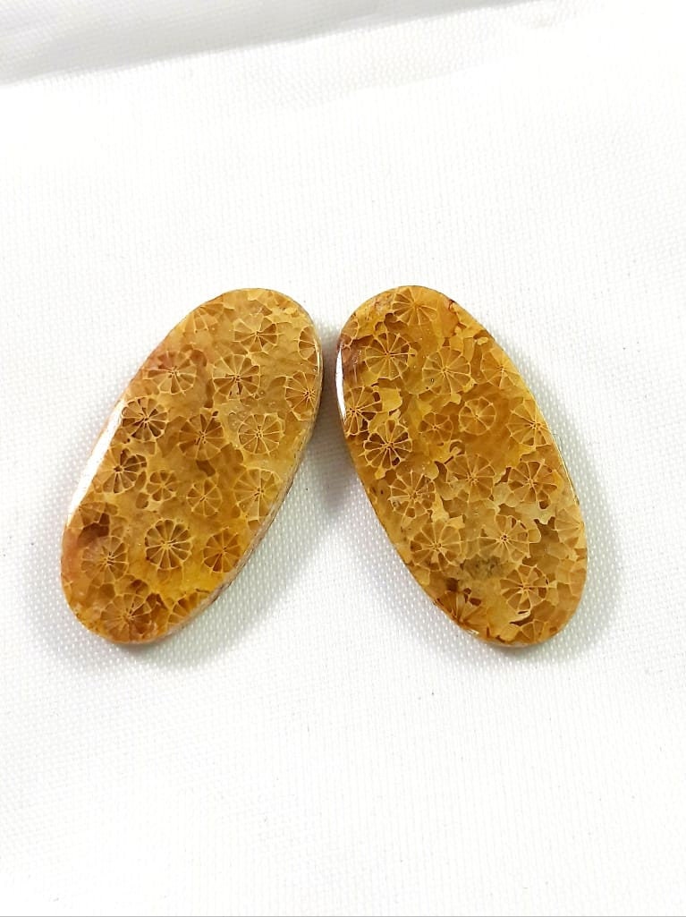 30x15x4mm Fossil Coral Jasper Natural Fossil Jasper Oval Smooth ...