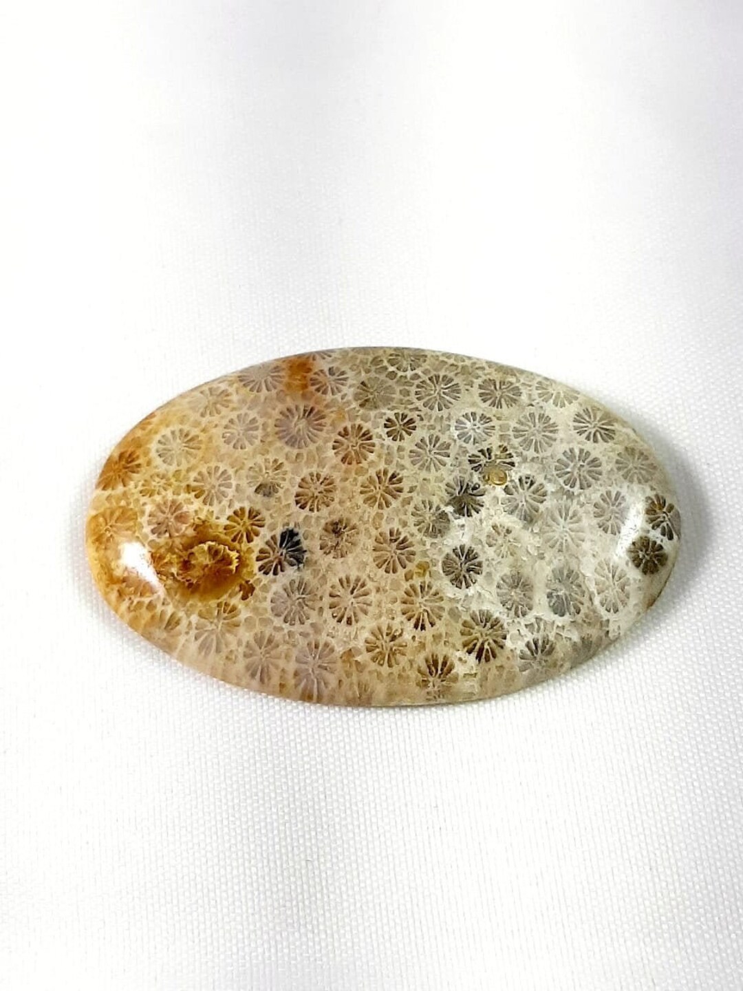 73 Cts Natural Fossil Coral Jasper Loose Gemstone Oval Shape Cabochon ...