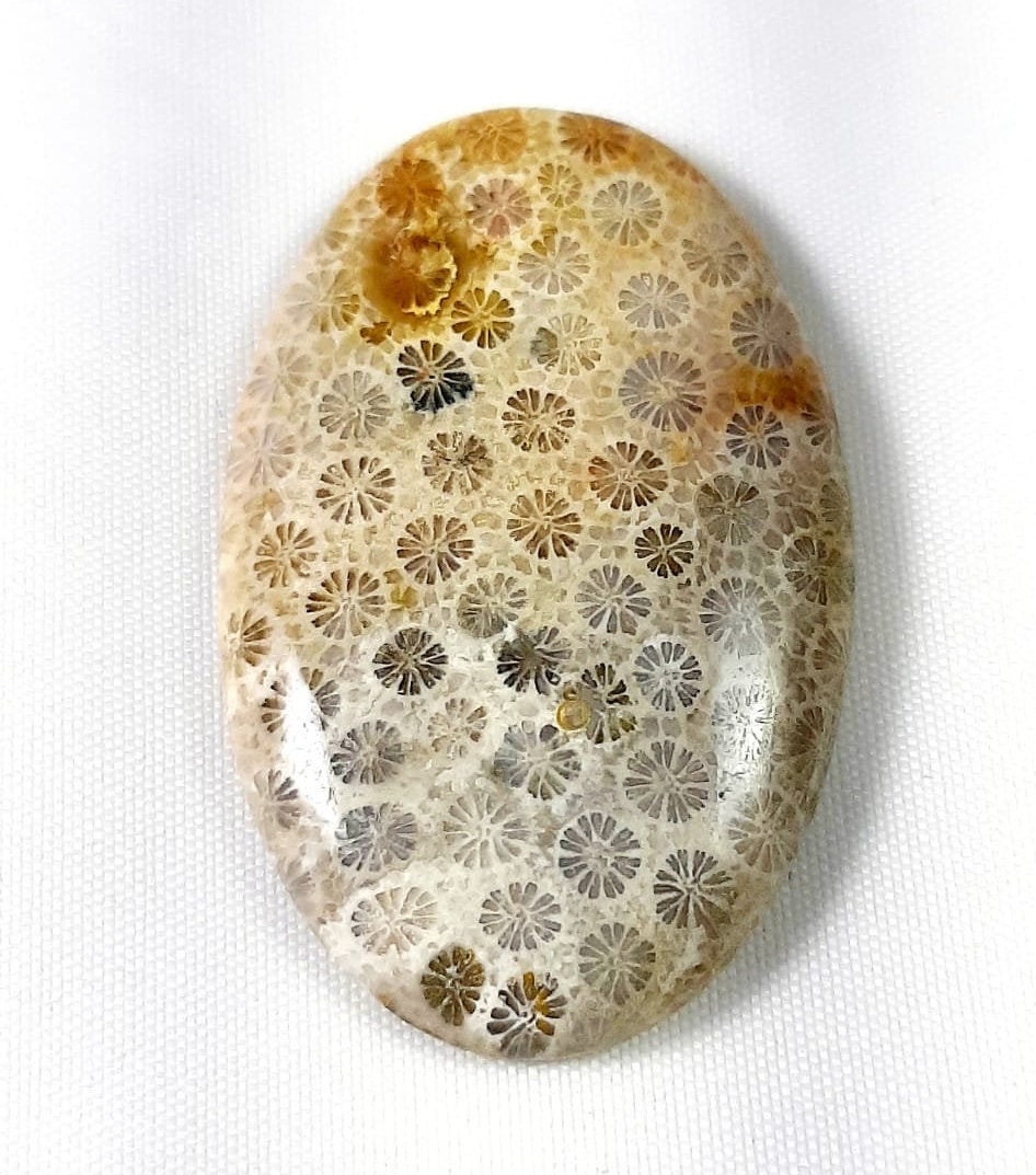 73 Cts Natural Fossil Coral Jasper Loose Gemstone Oval Shape Cabochon ...