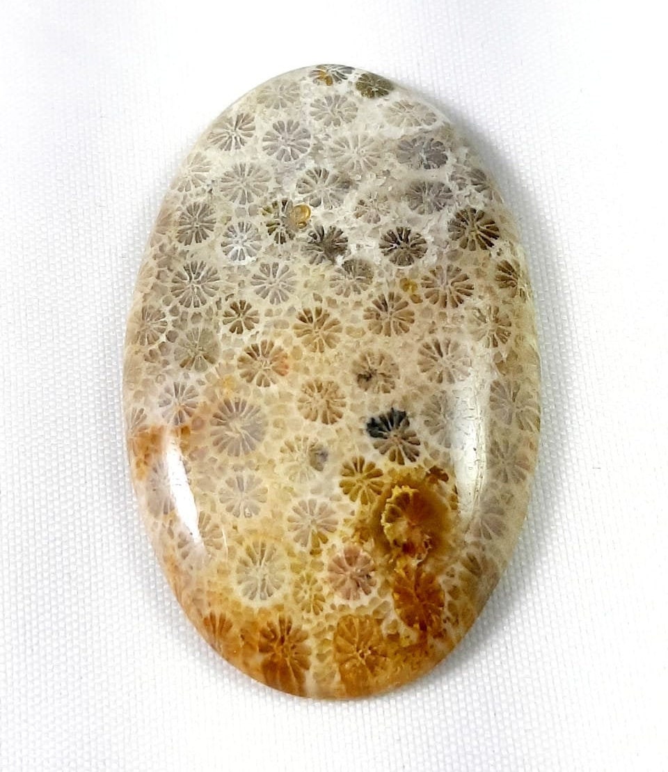 73 Cts Natural Fossil Coral Jasper Loose Gemstone Oval Shape Cabochon ...