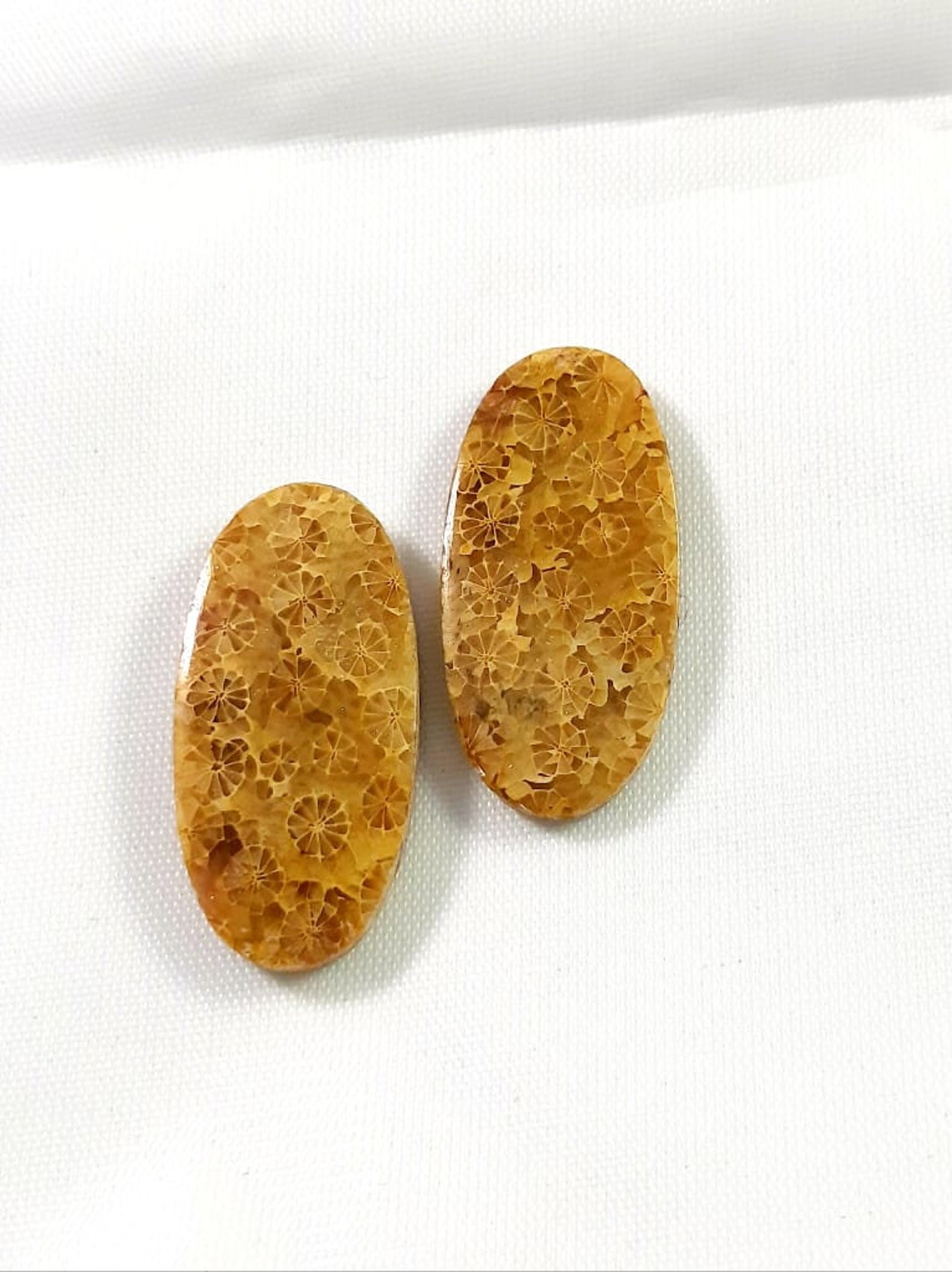 30x15x4mm Fossil Coral Jasper Natural Fossil Jasper Oval Smooth ...