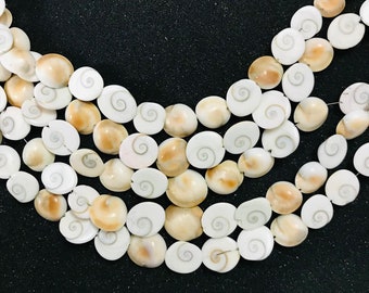 Doublet Shiva Shell Round Bead – Shiva Shell Bead- 16" Beaded Strand ...