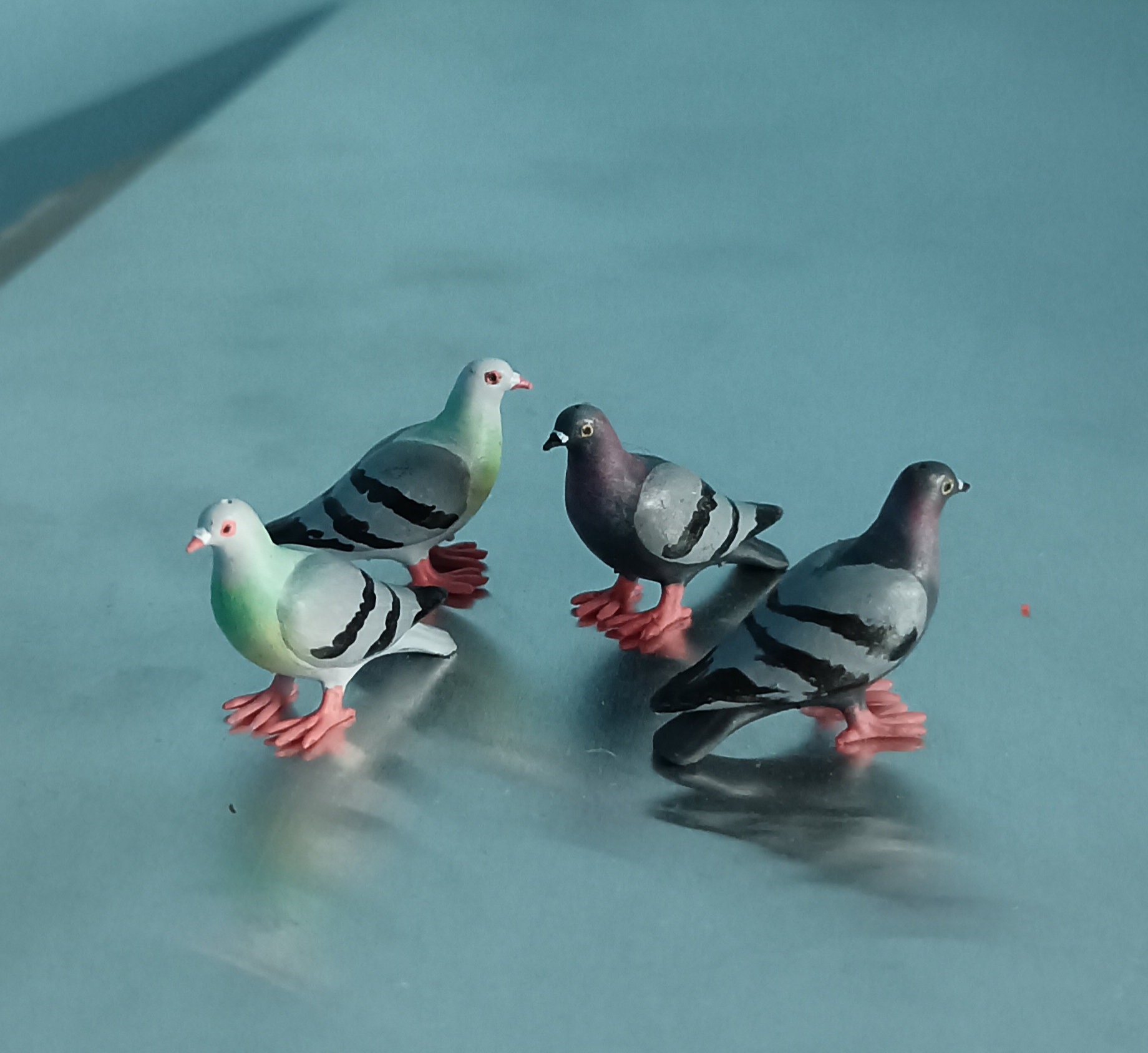 Lot4 Miniature Pigeons 1:12 Scale Bird Mini for Horror Dollhouse Animal ...