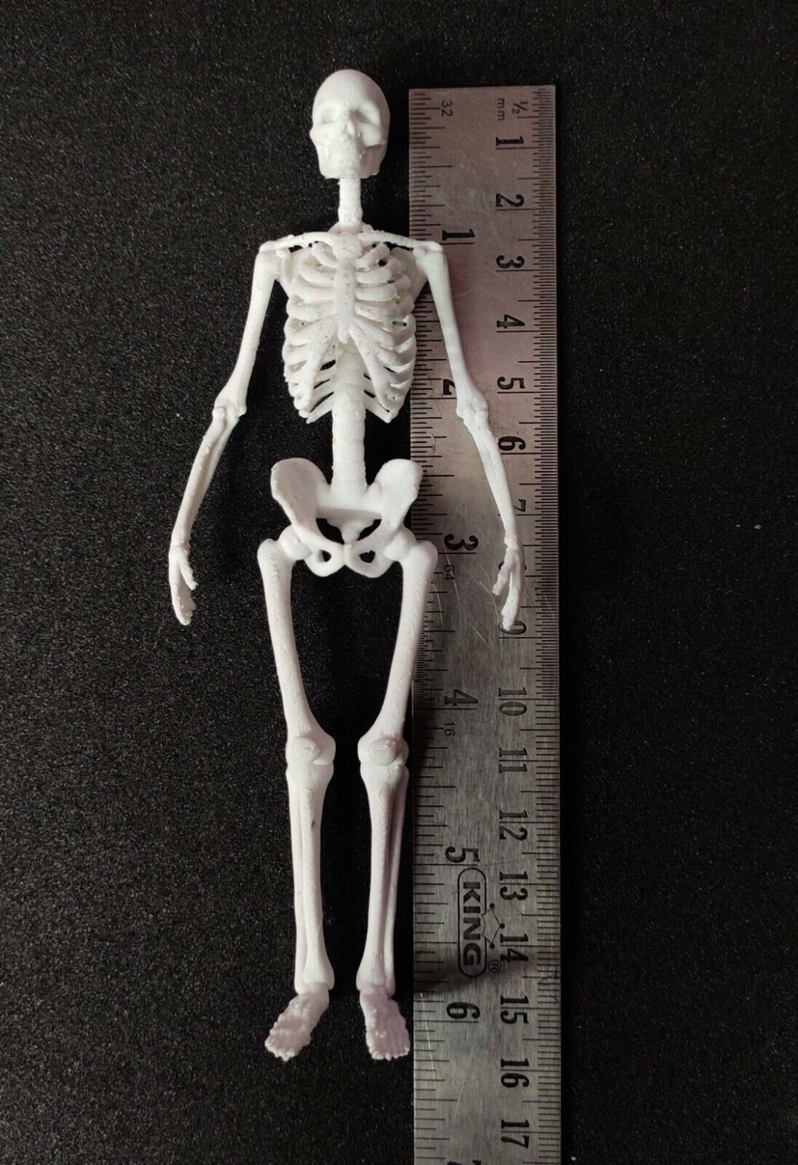 6 Custom Skelly Skeleton Diorama Prop-3d Printed Unpainted Model Statue ...