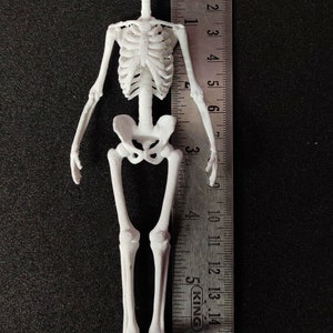 6 Custom Skelly Skeleton Diorama Prop-3d Printed Unpainted Model Statue ...