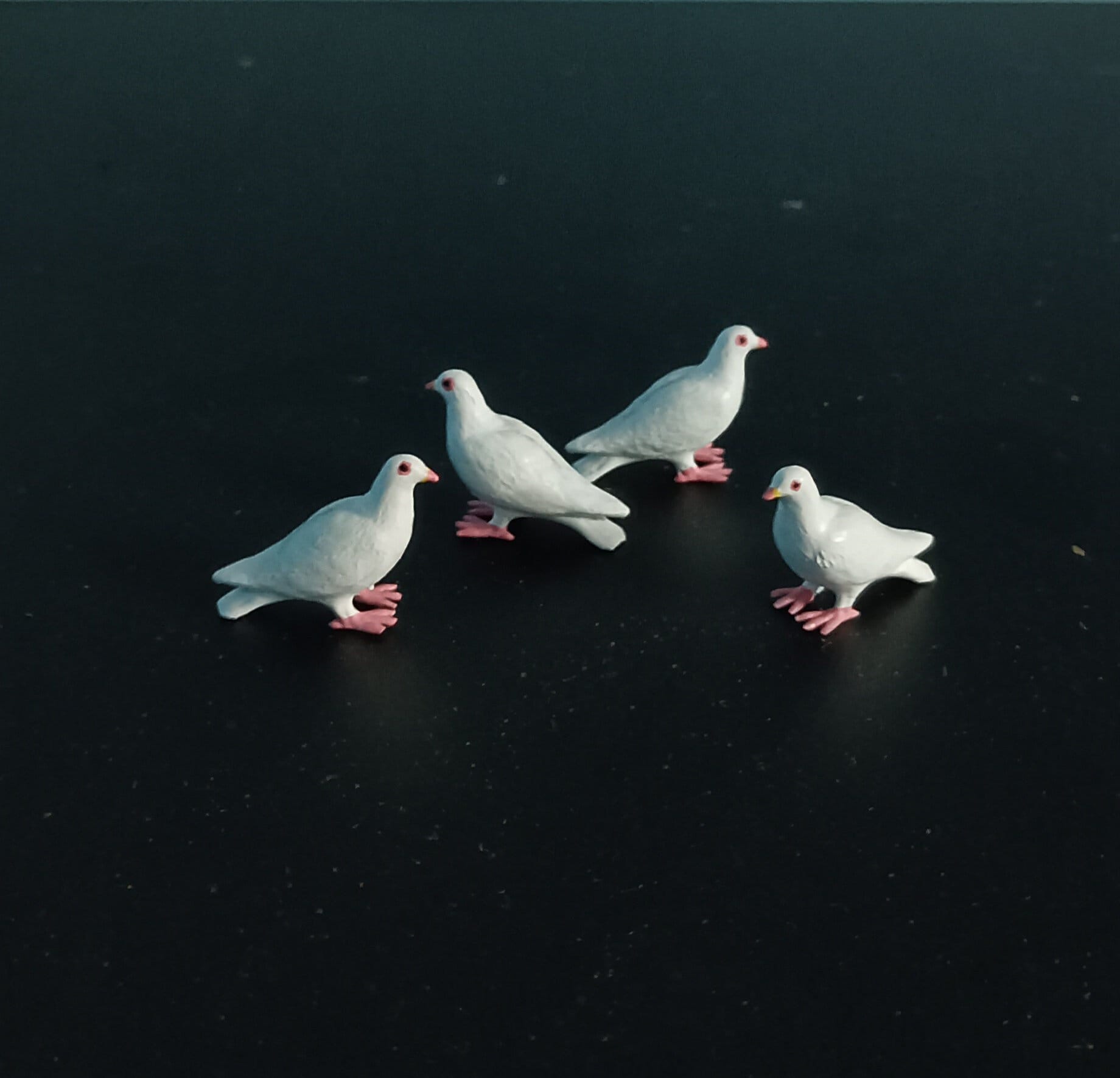 Lot4 Miniature White Dove Pigeon 1:12 Scale Bird Mini for Horror ...