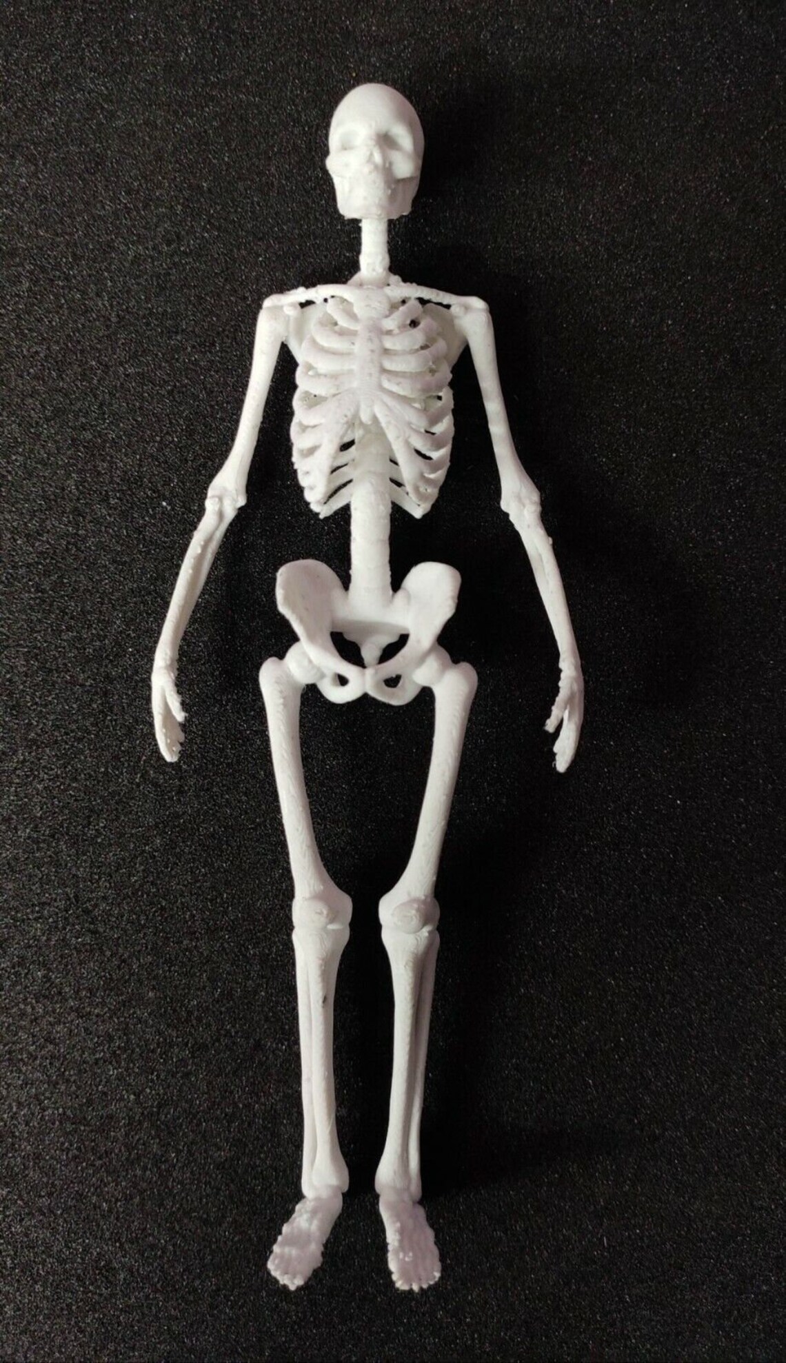 6 Custom Skelly Skeleton Diorama Prop-3d Printed Unpainted Model Statue ...