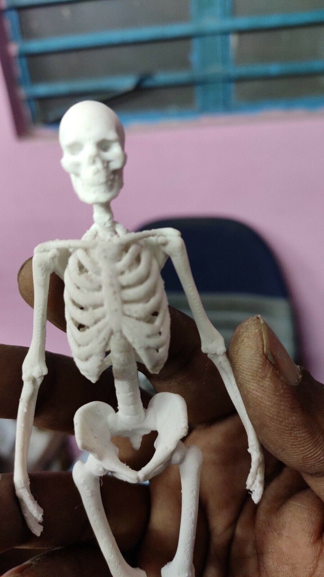 6" Custom Skelly Skeleton Diorama Prop Halloween 3D Printed Unpainted ...