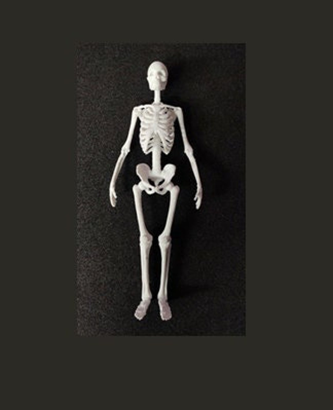 6 Custom Skelly Skeleton Diorama Prop-3d Printed Unpainted Model Statue ...