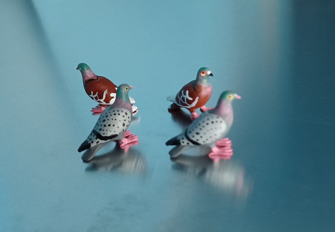 Lot4 Miniature Pigeons 1:12 Scale Bird Mini for Horror Dollhouse Animal ...