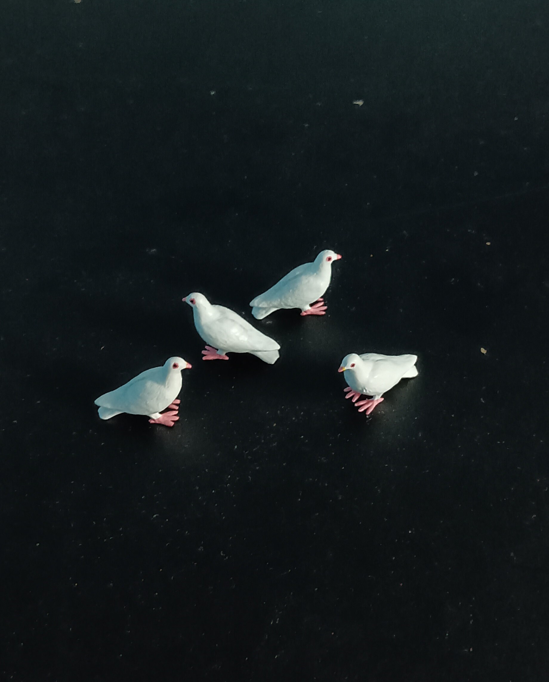 Lot4 Miniature White Dove Pigeon 1:12 Scale Bird Mini for Horror ...