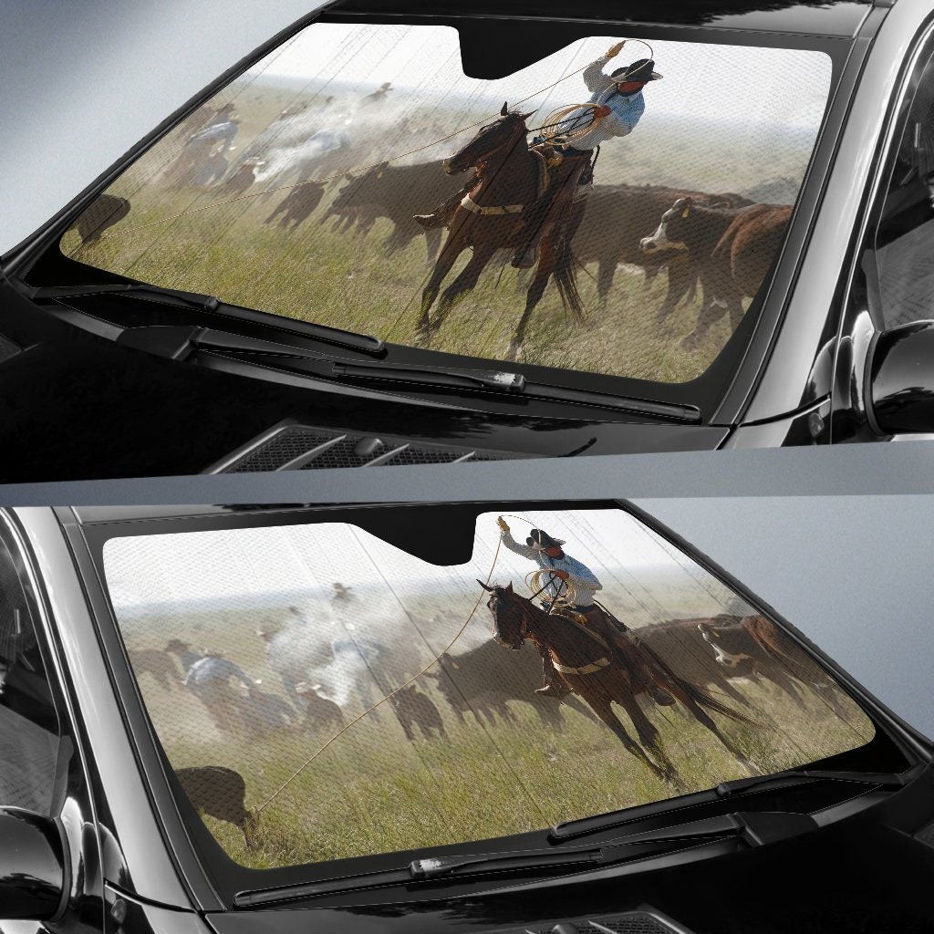 Axe Through Windshield