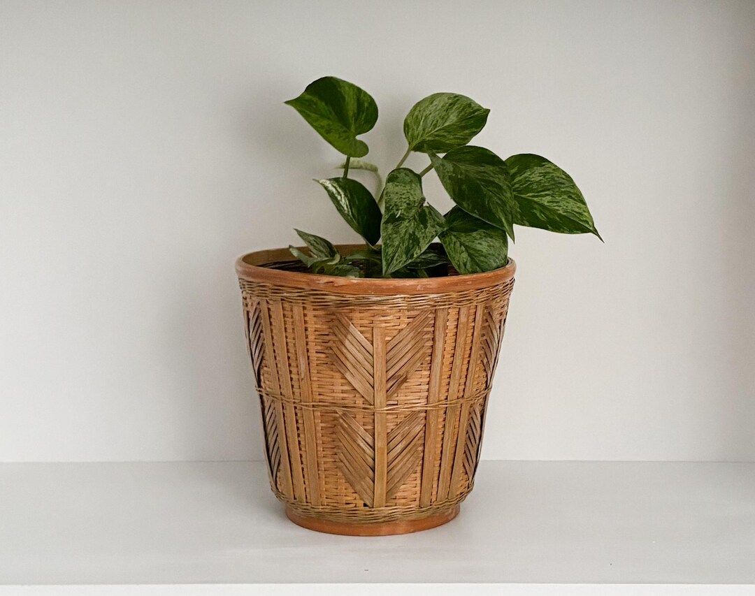 Vtg Split Bamboo Planter W/ Green Leaf Design Woven Straw Wood Basket ...