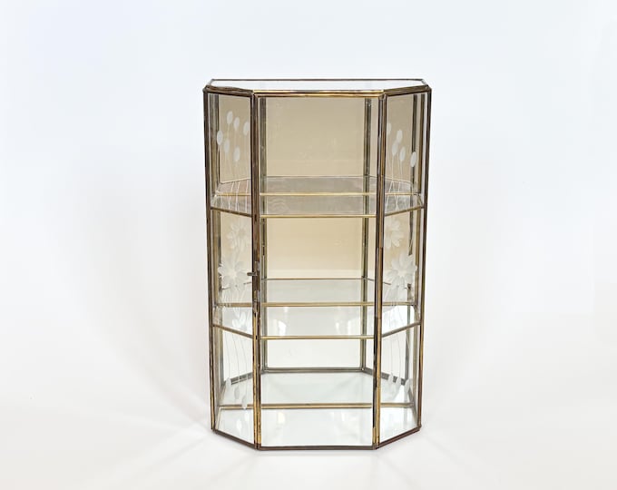 Vtg Glass Curio Cabinet W/ Etched Floral Design, Brass Frame & Mirrored ...