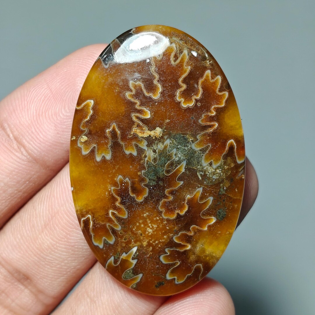 Suture Ammonite Cabochon | Oval Gemstone for Jewelry Making | 44x29x6 ...