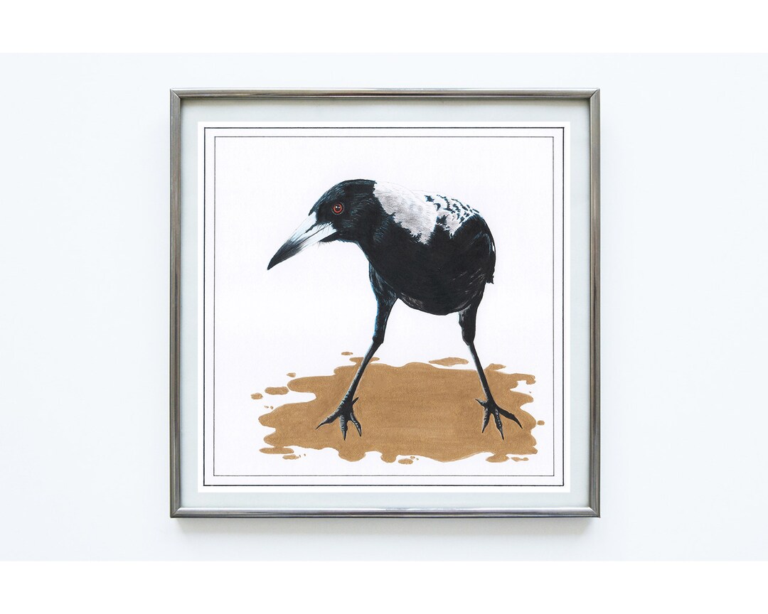 Australian Magpie Illustration Art Print - Etsy