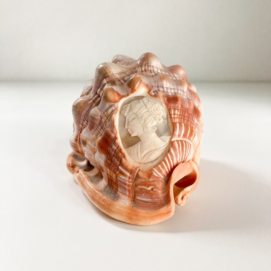RARE Italian Carved Cameo in Conch Shell, 1950's Female Cameo Hand ...