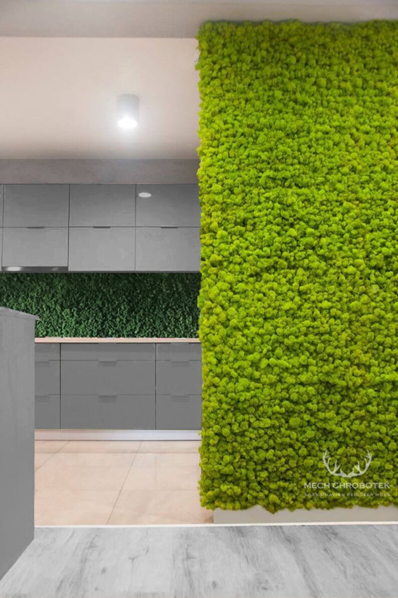 Panel de pared de musgo con moss para pared verde brillante - Etsy España