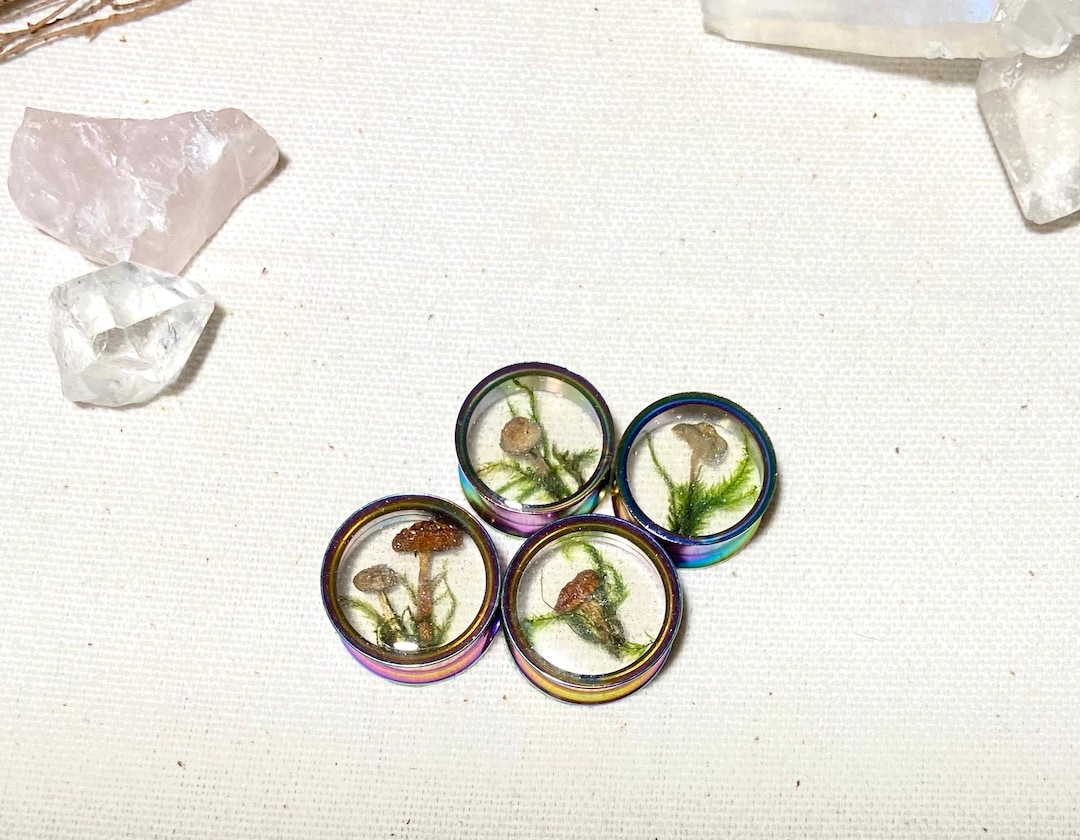 Custom Mushroom Plugs/ Gauges - Etsy