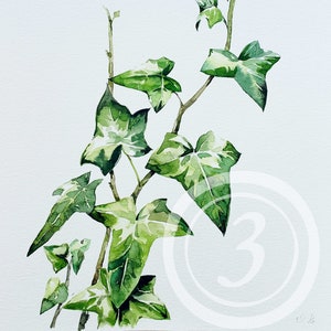 Ivy Branch Original Watercolor Painting Handmade 14х11" - Etsy