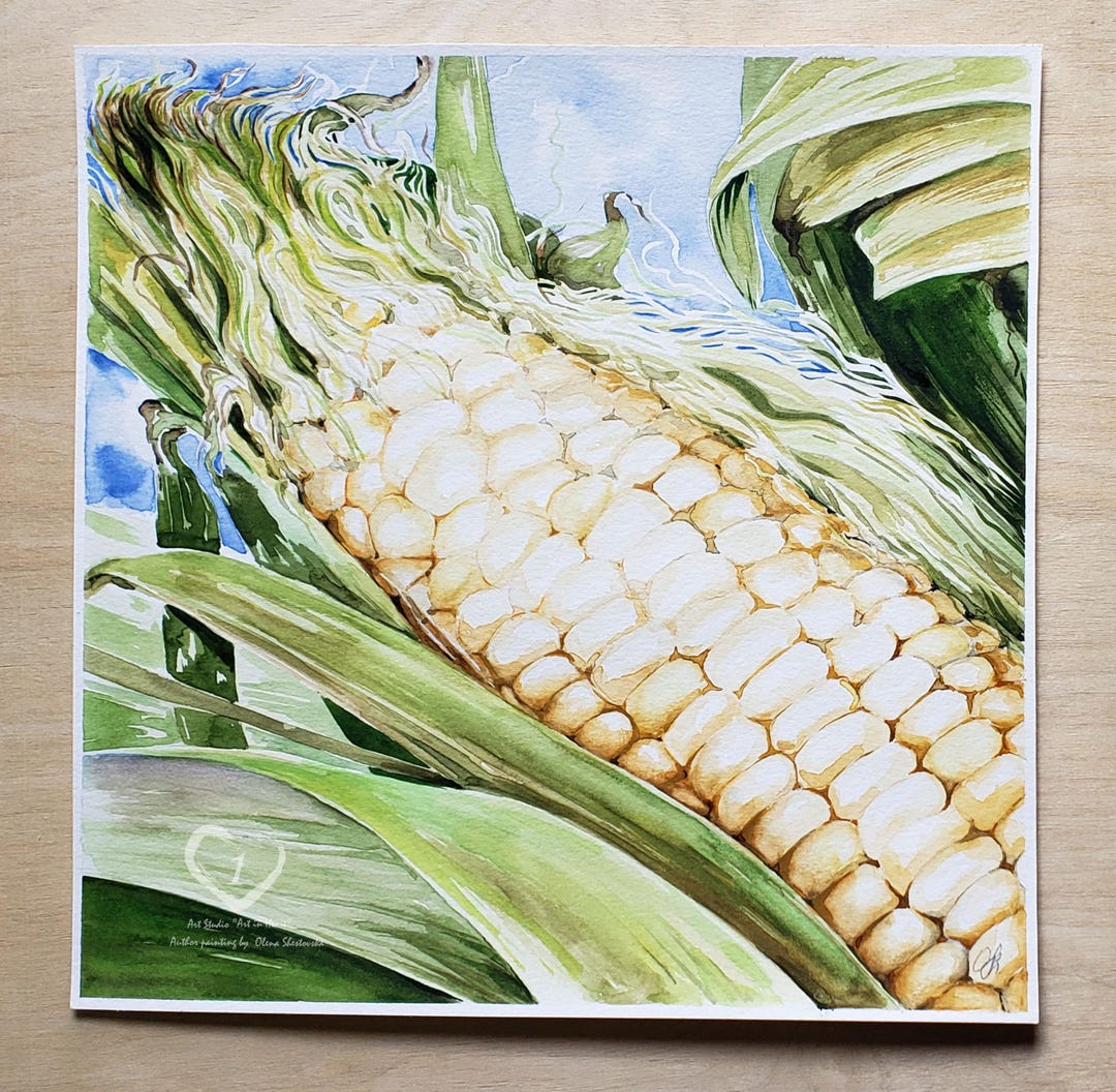 Corn Original Watercolor Paintings Handmade - Etsy