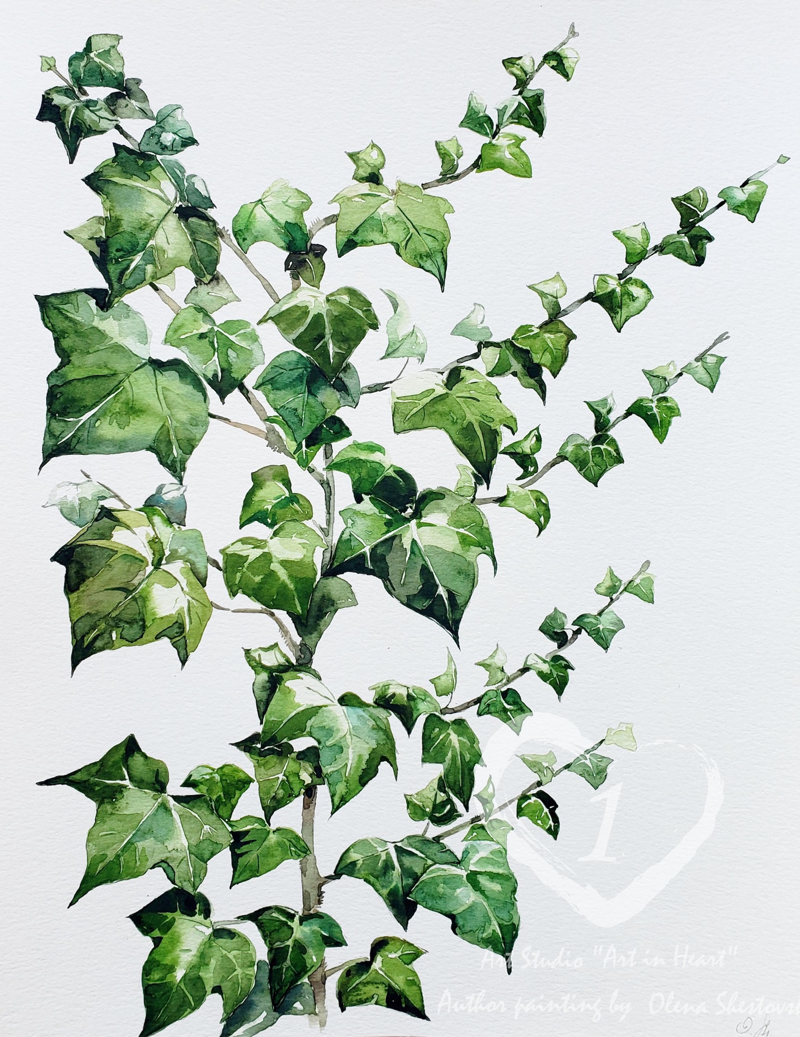 Ivy Branch Original Watercolor Painting Handmade 14х11" - Etsy