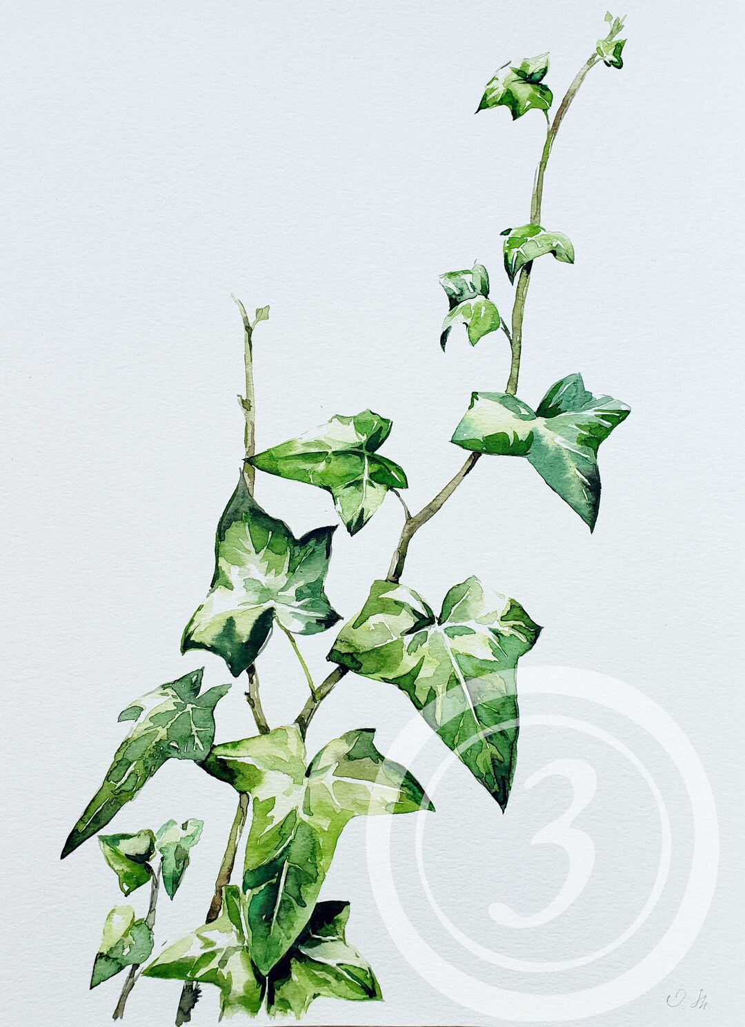 Ivy Branch Original Watercolor Painting Handmade 14х11" - Etsy