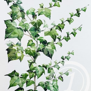 Ivy Branch Original Watercolor Painting Handmade 14х11" - Etsy