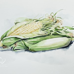 Corn Original Watercolor Paintings Handmade - Etsy